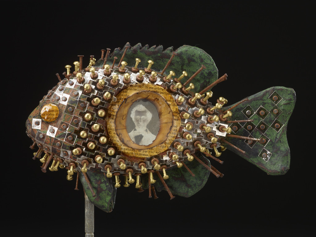 FISHEYE - Daniel Essig